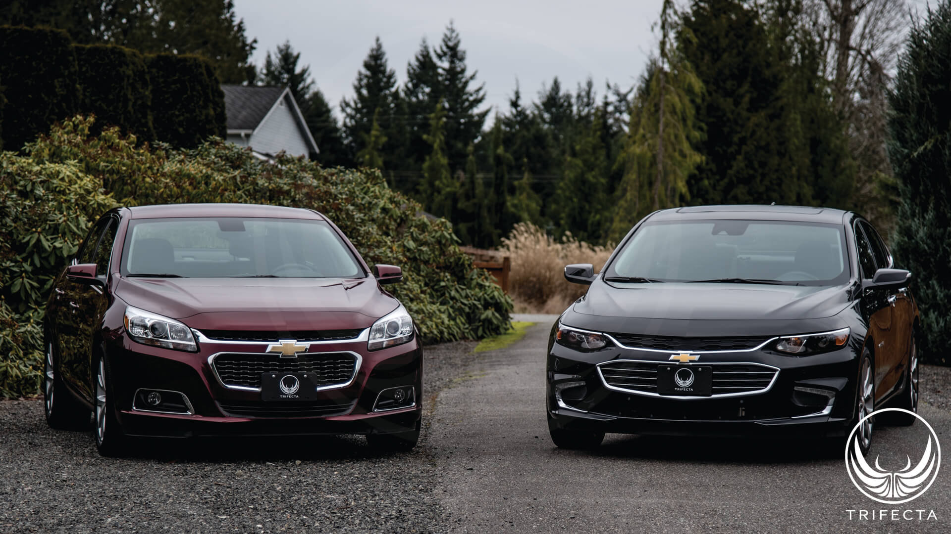 Malibu 2016 Tuning | atelier-yuwa.ciao.jp